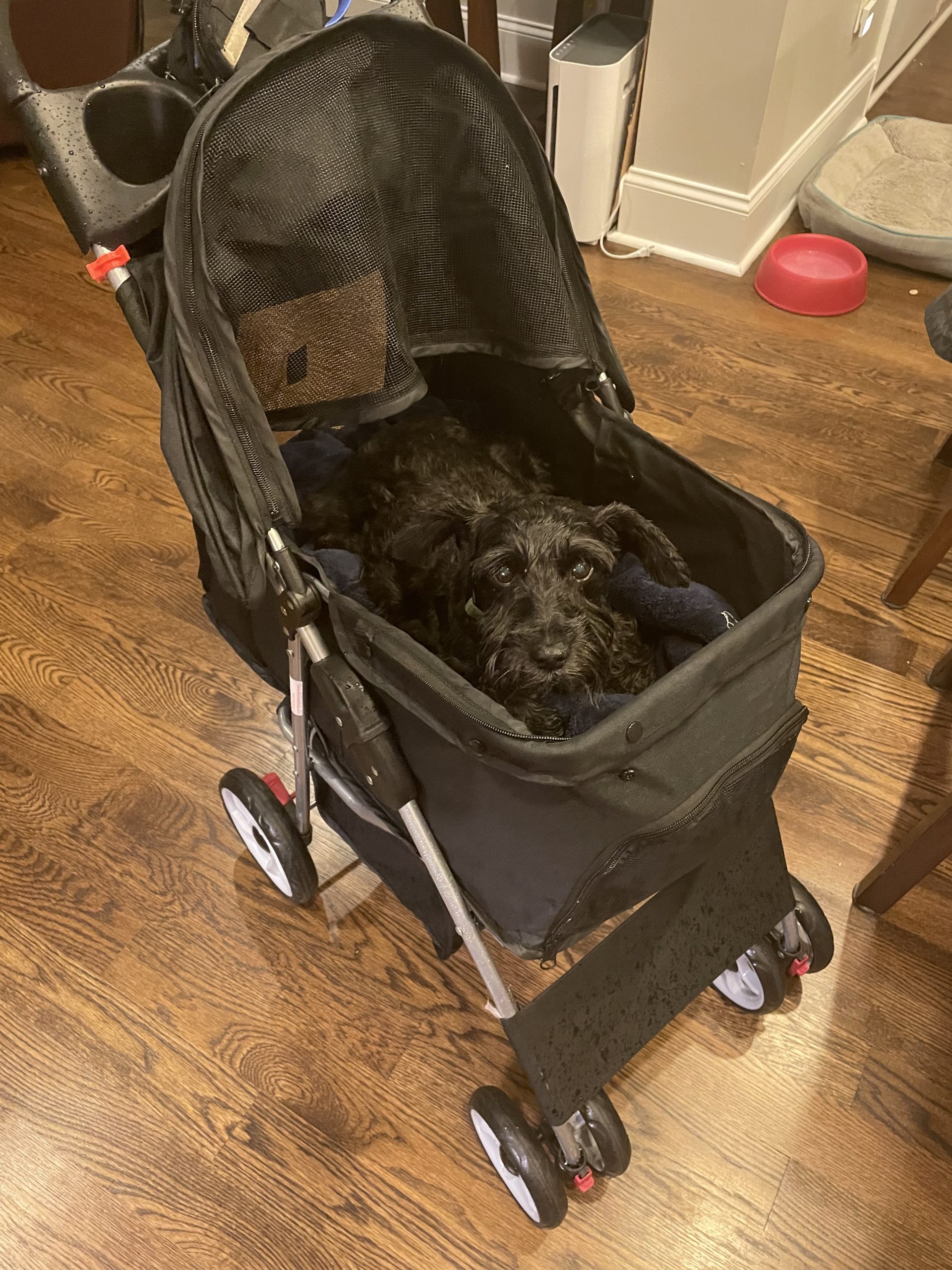 Feeling sad today - Coach Berry